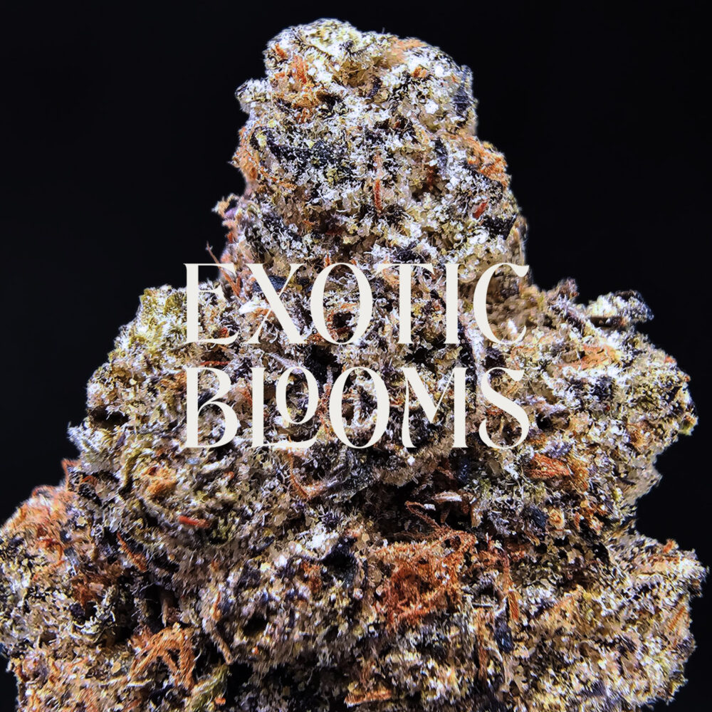 Agent Orange Strain | 27-29% THC | DC VA MD Weed Delivery