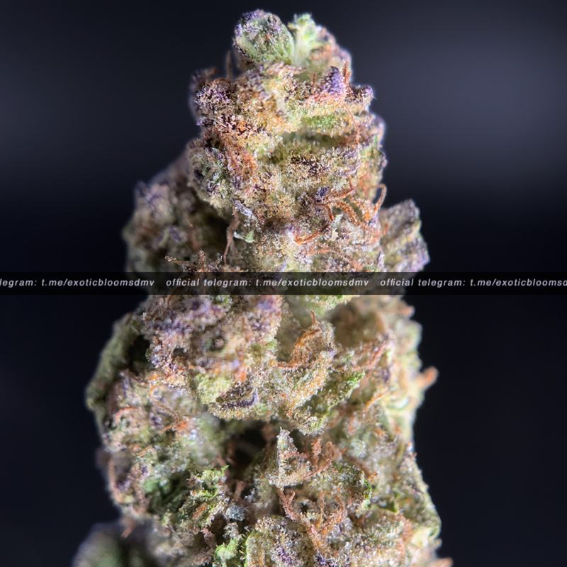 Gush Mintz Oz Deal *OUT OF STOCK* - Exotic Blooms Delivery - DC Weed ...