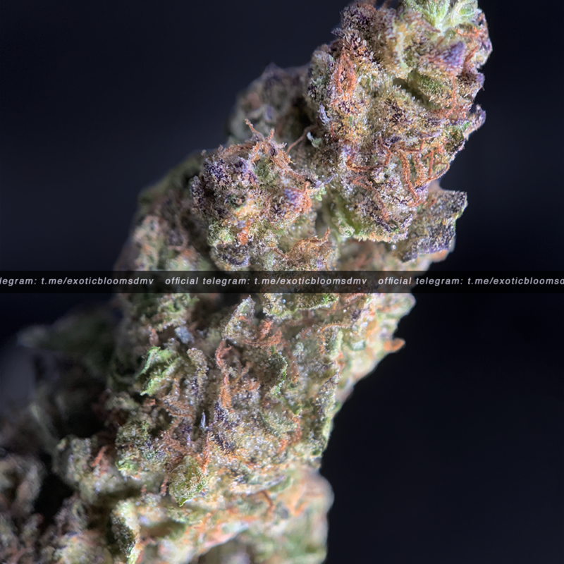 Gush Mintz Oz Deal *OUT OF STOCK* - Exotic Blooms Delivery - DC Weed ...