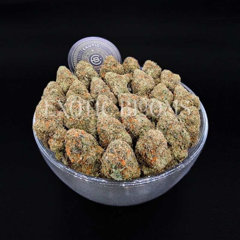 Exclusive Designer Archives - Exotic Blooms - Experience Washington D.C ...