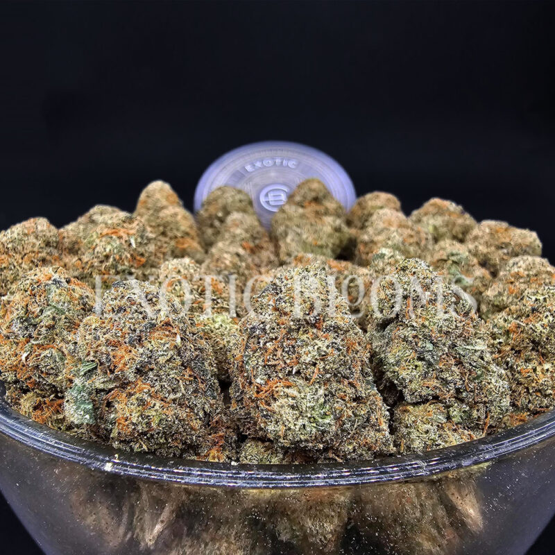 Exclusive Designer Archives - Exotic Blooms - Experience Washington D.C ...