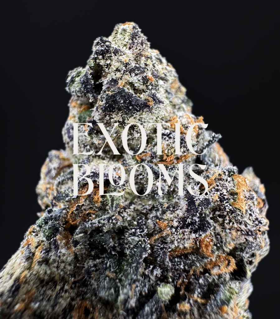 Black Runtz Strain | Indica Hybrid | 27-30% THC | DC VA MD Delivery