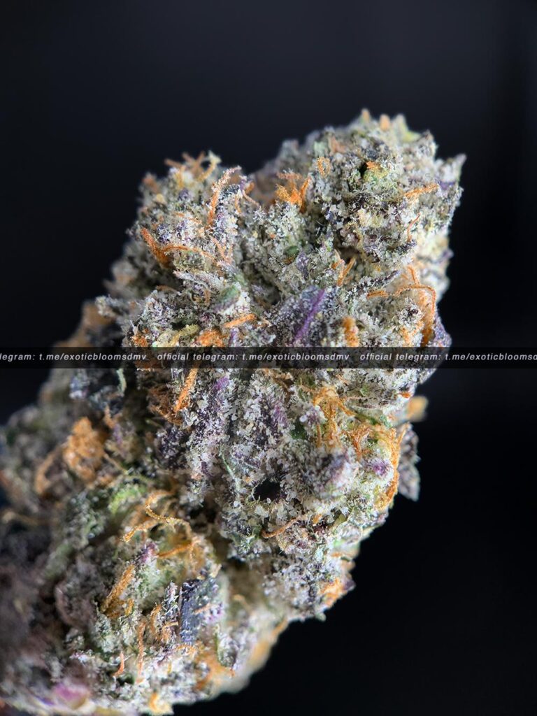 Blue Nerds Exclusive Designer *OUT OF STOCK* - Exotic Blooms Delivery ...