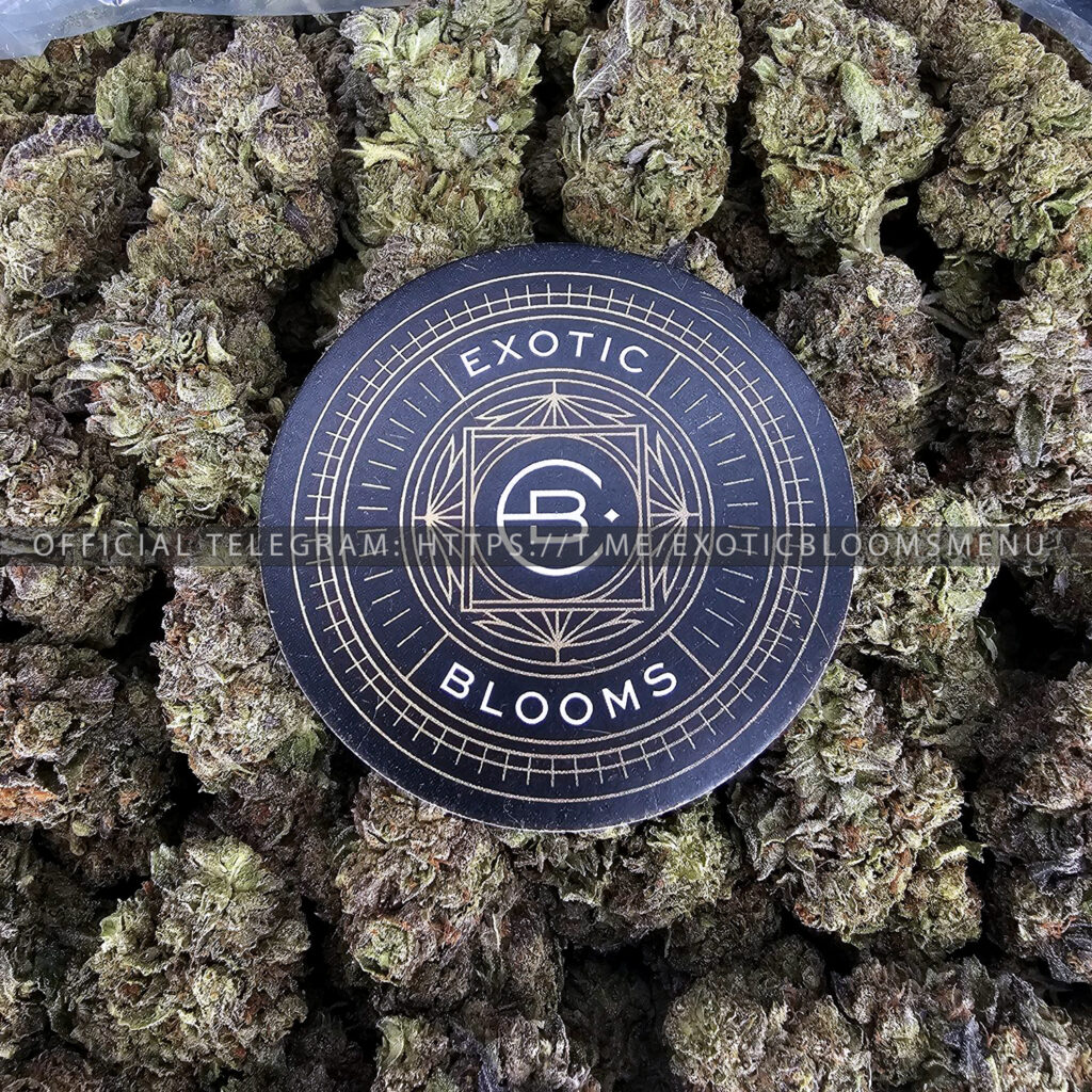 Bacio Gelato Oz Deal *OUT OF STOCK* - Exotic Blooms Delivery - DC Weed ...