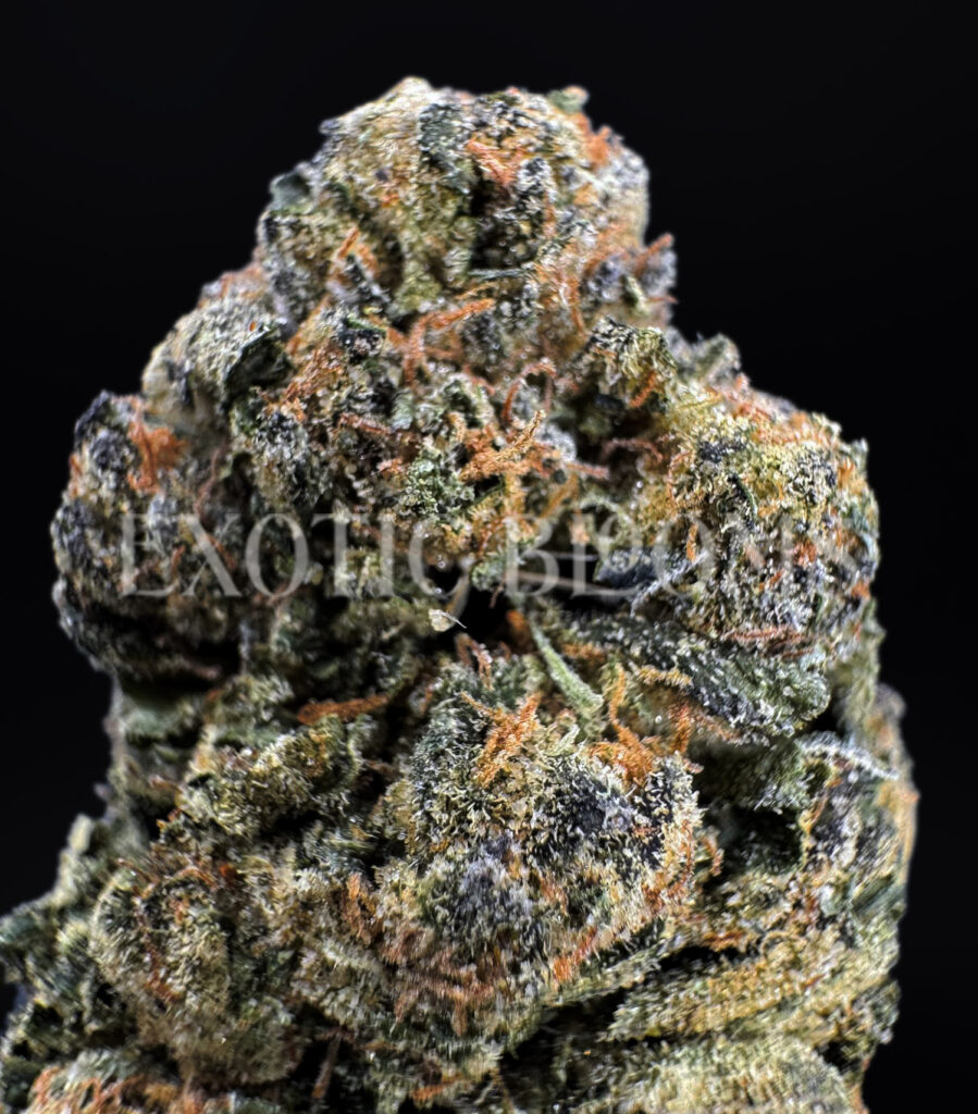 Lemon Cherry Runtz Oz Deal *OUT OF STOCK* - Exotic Blooms Delivery - DC ...