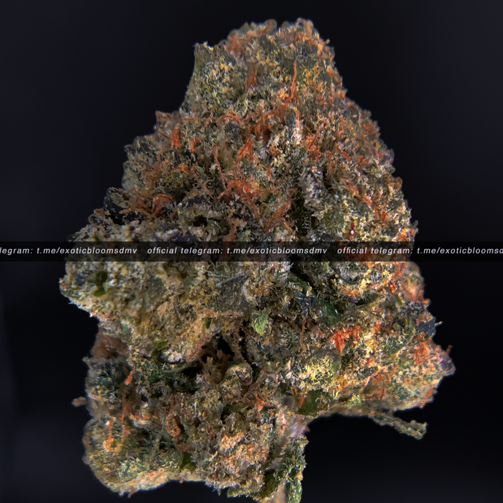 Bubblegum Runtz Exclusive Designer *OUT OF STOCK* - Exotic Blooms ...