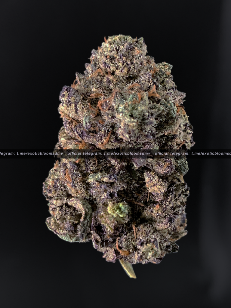 Donkey Butter Exclusive Designer. **OUT OF STOCK** - Exotic Blooms ...