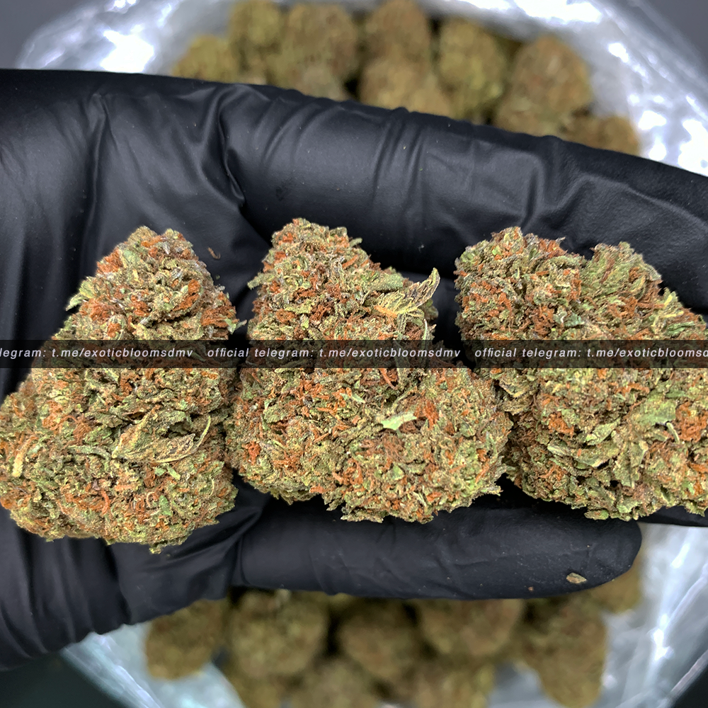 Oz Deals Delivery DC Archives - Page 2 of 3 - Exotic Blooms Delivery ...