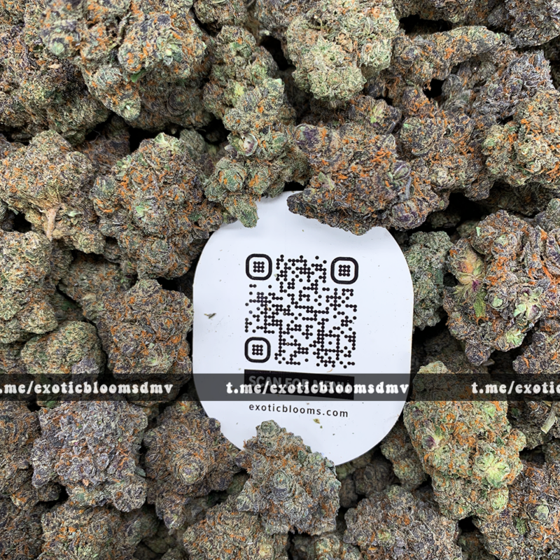 Sherbanger Exclusive Designer - Exotic Blooms Delivery - DC Weed ...