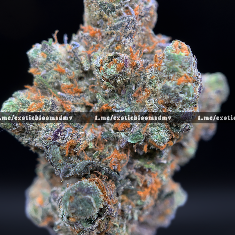 Sherbanger Exclusive Designer - Exotic Blooms Delivery - DC Weed ...