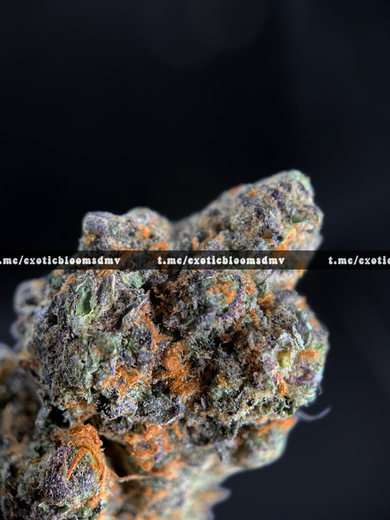 Sherbanger Exclusive Designer - Exotic Blooms Delivery - DC Weed ...