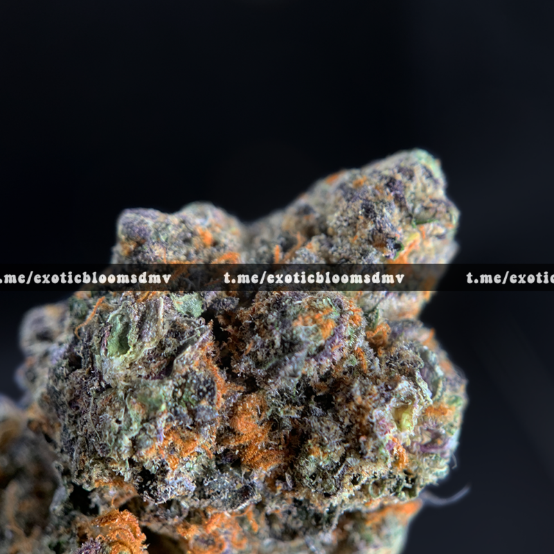 Sherbanger Exclusive Designer - Exotic Blooms Delivery - DC Weed ...