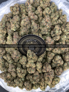 Toads Venom Super Rare *out of stock* - Exotic Blooms Delivery - DC ...