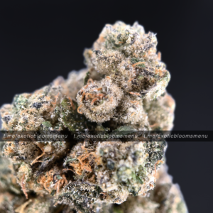 Toads Venom Super Rare *out of stock* - Exotic Blooms Delivery - DC ...