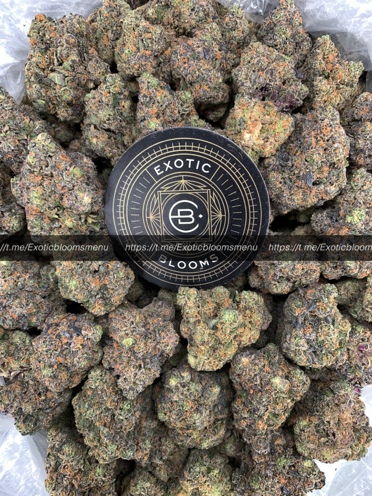 Pinata Candy Private Reserve *OUT OF STOCK* - Exotic Blooms Delivery ...