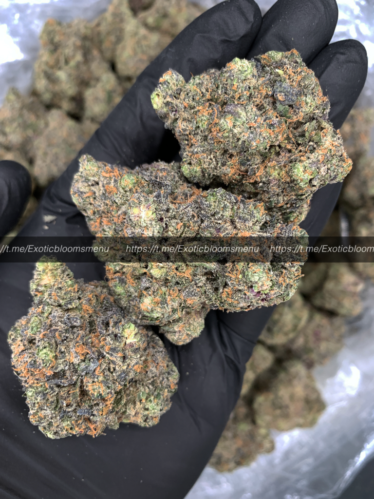 Pinata Candy Private Reserve *OUT OF STOCK* – Exotic Blooms Delivery ...