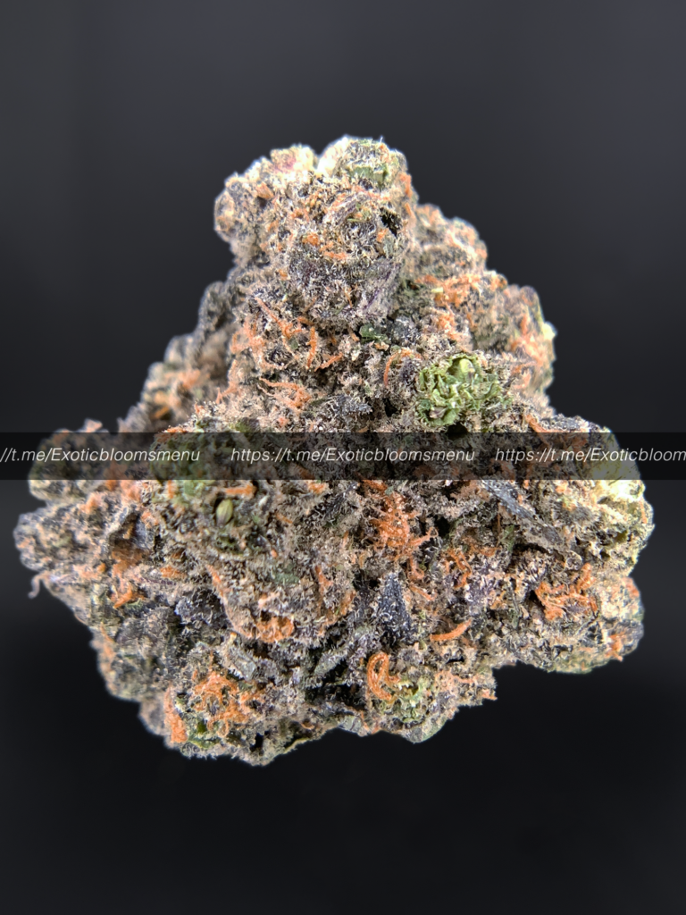 Pinata Candy Private Reserve *OUT OF STOCK* – Exotic Blooms Delivery ...