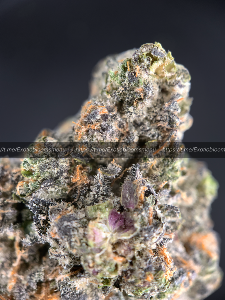 Pinata Candy Private Reserve *OUT OF STOCK* - Exotic Blooms Delivery ...