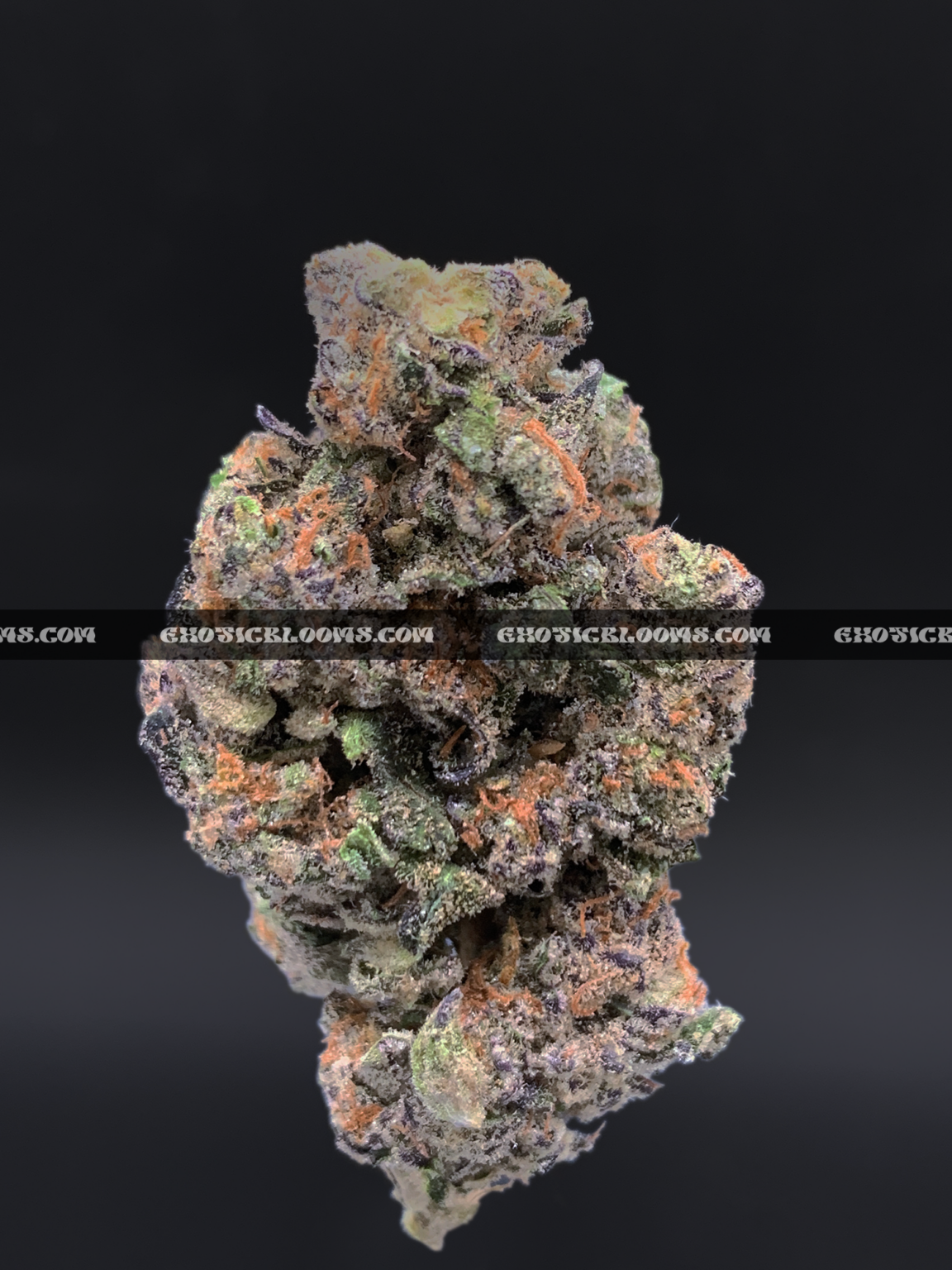 Sunset Animal Private Reserve *out of stock* - Exotic Blooms Delivery ...