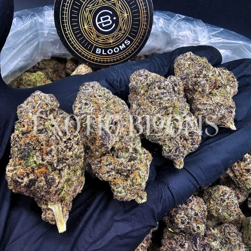 Exclusive Designer – Exotic Blooms Delivery – DC Weed Delivery & VA ...