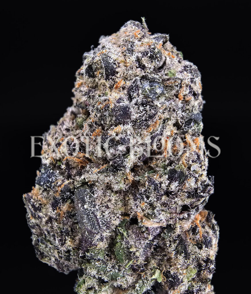 Candy Runtz Exclusive Designer *out of stock* - Exotic Blooms Delivery ...