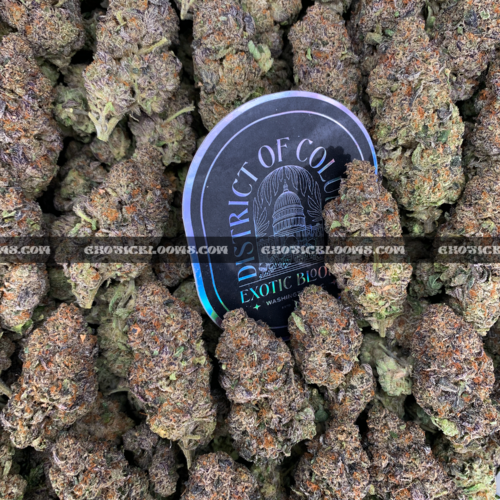 Tally Mon Private Reserve *OUT OF STOCK* - Exotic Blooms Delivery - DC ...