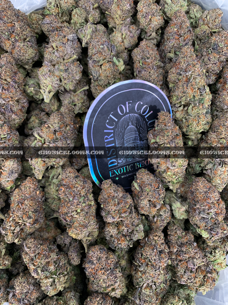 Tally Mon Private Reserve *OUT OF STOCK* - Exotic Blooms Delivery - DC ...