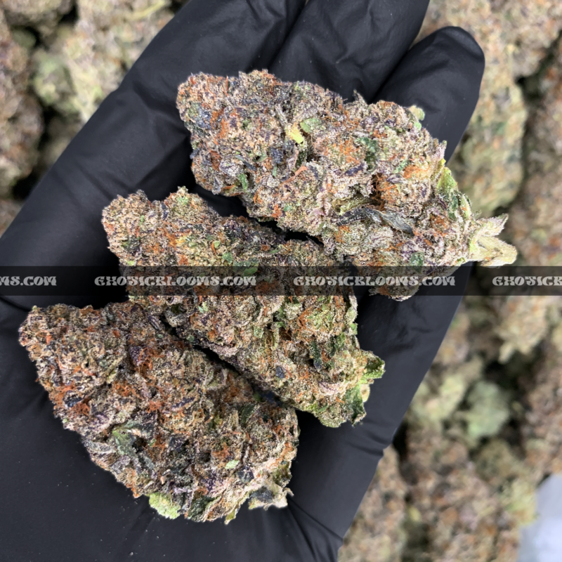 Tally Mon Private Reserve *OUT OF STOCK* - Exotic Blooms Delivery - DC ...