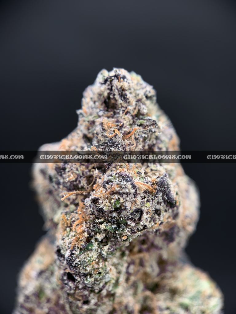 Tally Mon Private Reserve *OUT OF STOCK* - Exotic Blooms Delivery - DC ...