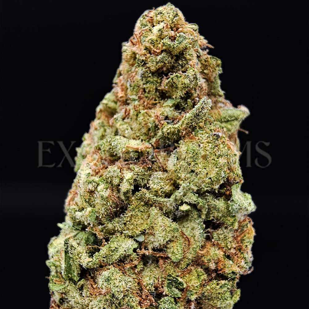 Tropical Runtz Oz Deal *OUT OF STOCK* - Exotic Blooms Delivery - DC ...