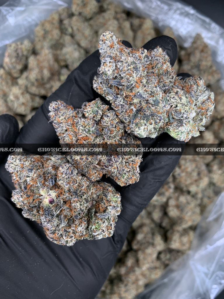 Pure Michigan Exclusive Designer *OUT OF STOCK* - Exotic Blooms ...