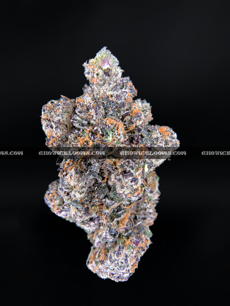 Blue Lotus Super Rare *OUT OF STOCK* - Exotic Blooms Delivery - DC Weed ...