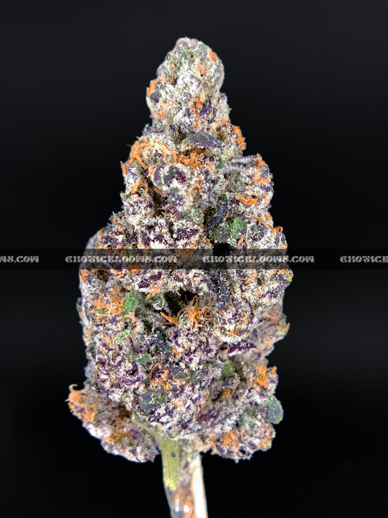 Blue Lotus Super Rare *OUT OF STOCK* - Exotic Blooms Delivery - DC Weed ...