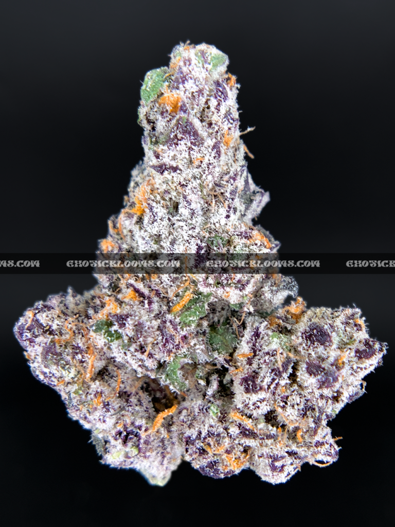 Blue Lotus Super Rare *OUT OF STOCK* - Exotic Blooms Delivery - DC Weed ...