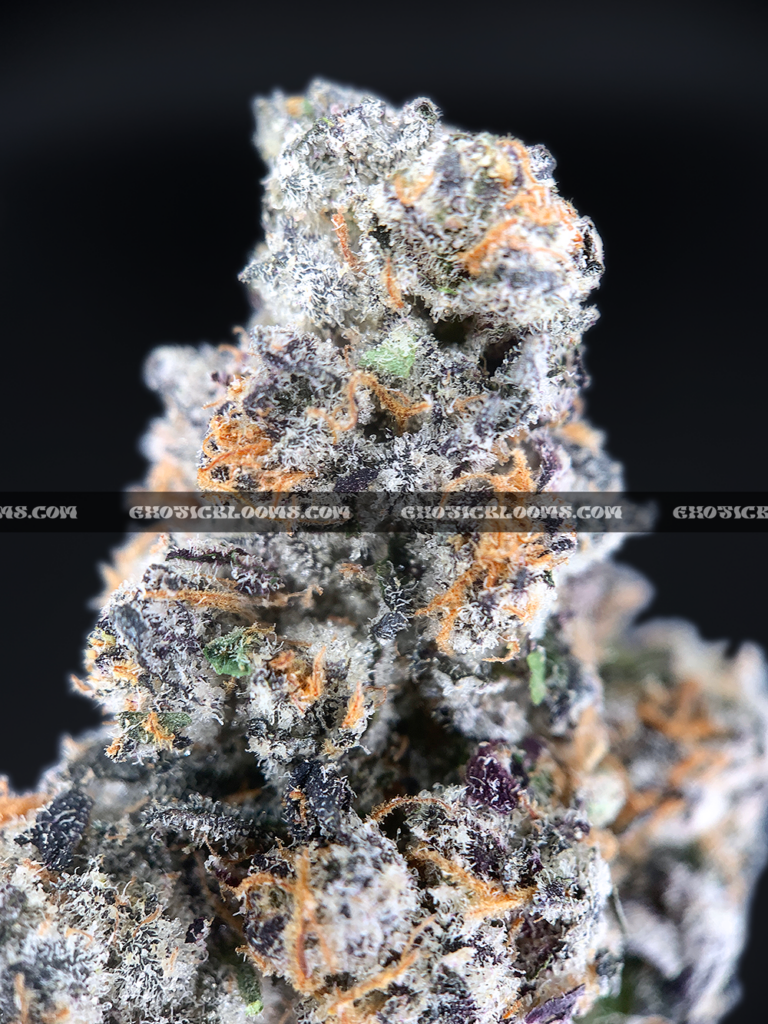 Blue Lotus Super Rare *OUT OF STOCK* - Exotic Blooms Delivery - DC Weed ...