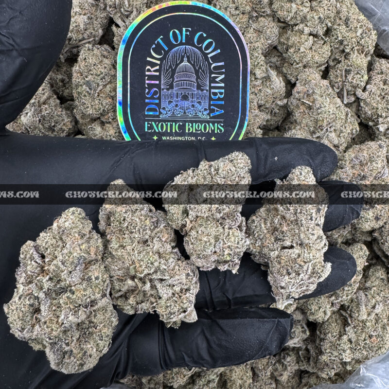 Exotic Blooms Delivery – DC Weed Delivery & VA Cannabis Dispensary ...