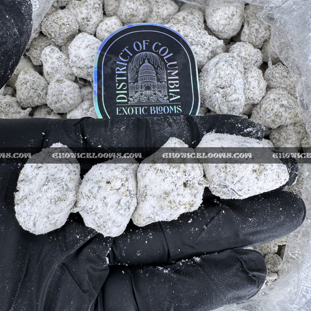 Exotic Blooms | Virginia Cannabis Delivery – Weed, Edibles, Vape & More