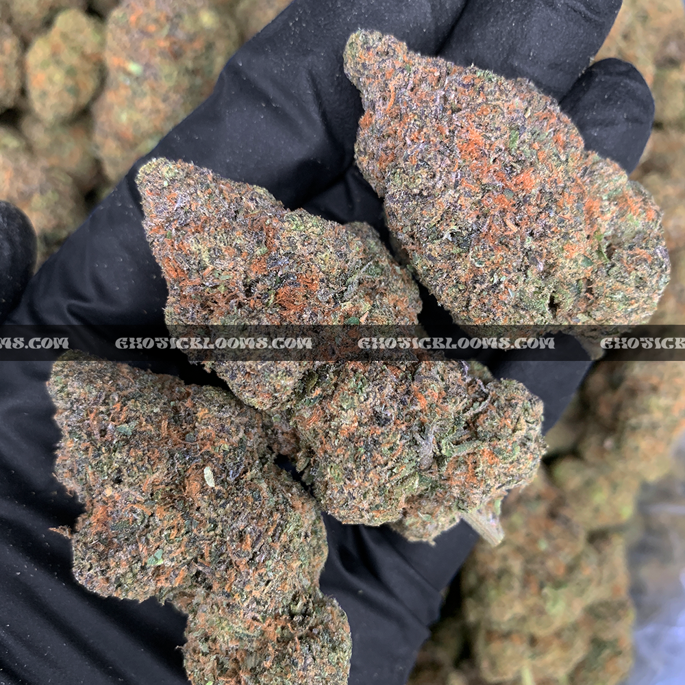 Grape GMO Private Reserve *OUT OF STOCK* - Exotic Blooms Delivery - DC ...