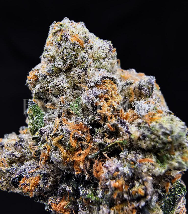 Bolo Runtz Exclusive Designer *OUT OF STOCK* - Exotic Blooms Delivery ...