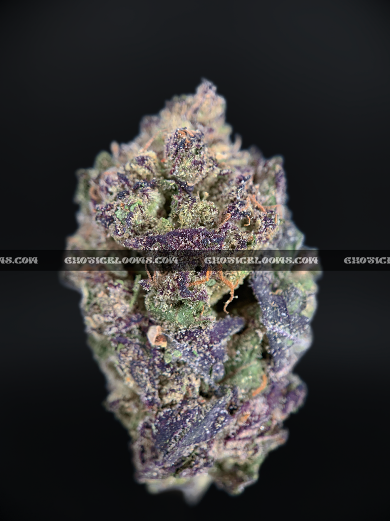 Blueberry Gas Oz Deal*out of stock* - Exotic Blooms Delivery - DC Weed ...