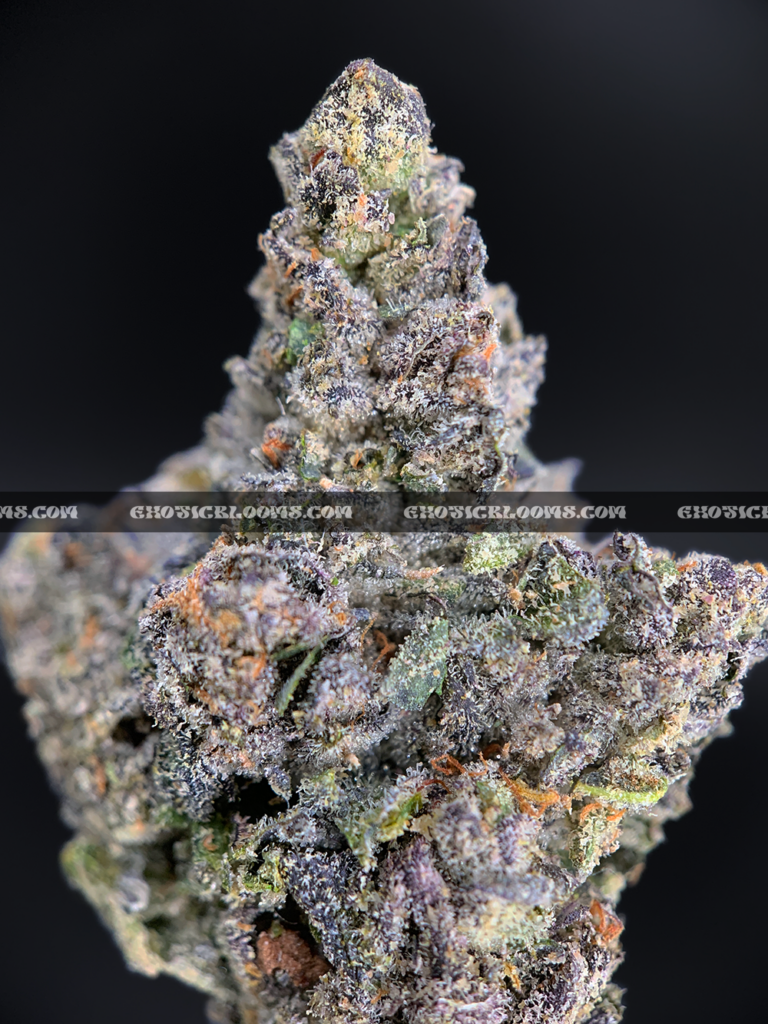 Midnight Runtz – 25%+ THC Indica Hybrid | DC, VA, Richmond Weed Delivery