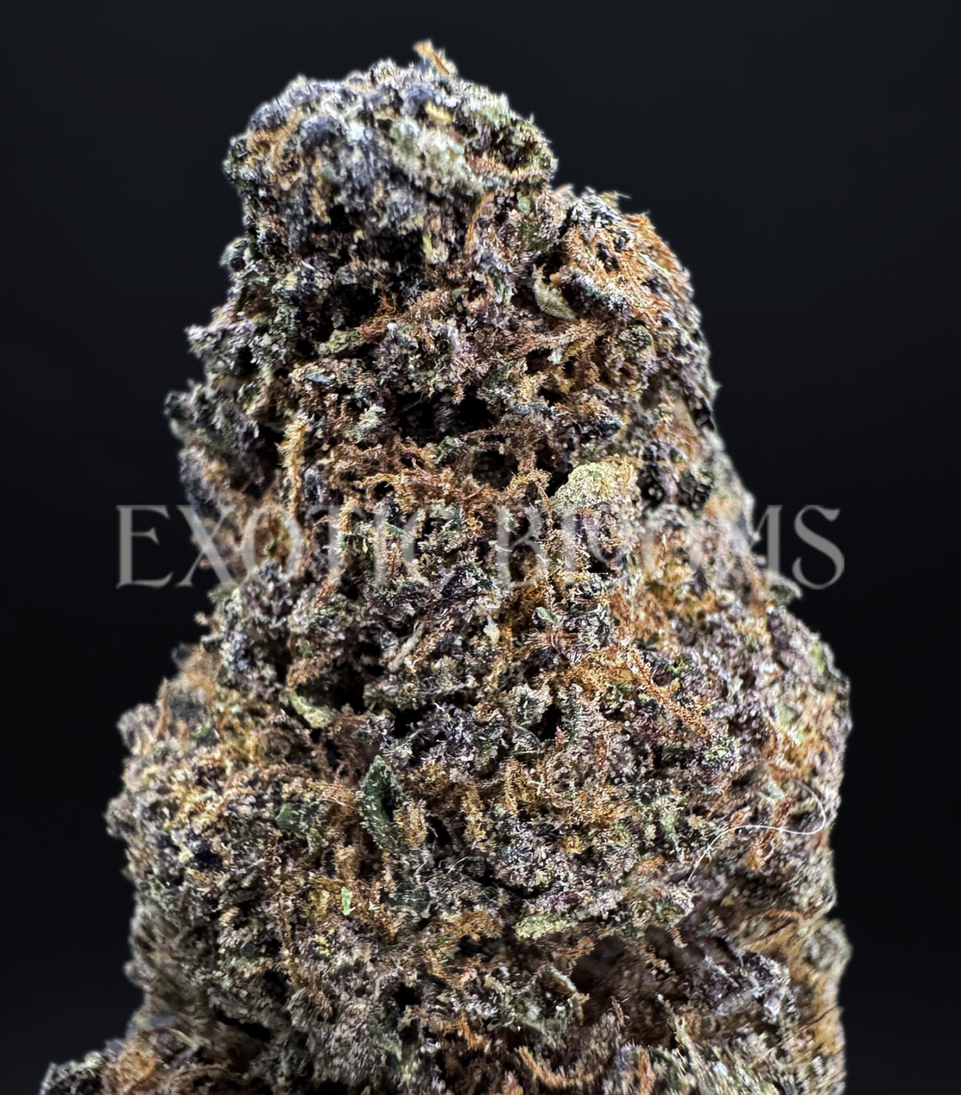 Pink Rozay Oz Deal *OUT OF STOCK* - Exotic Blooms Delivery - DC Weed ...