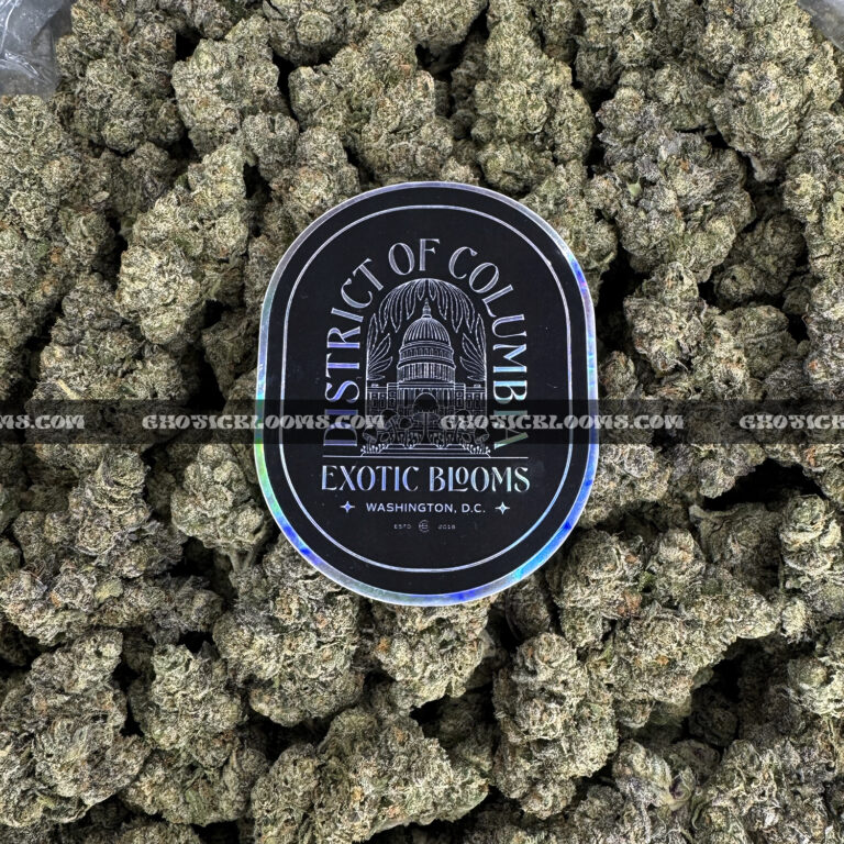 Snow Runtz Exclusive Designer - *OUT OF STOCK* - Exotic Blooms Delivery ...