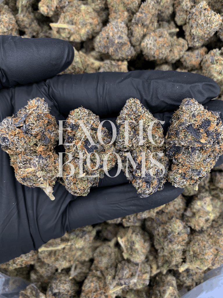 Candy Pop Strain – Balanced Hybrid — DC/VA/MD Weed Delivery