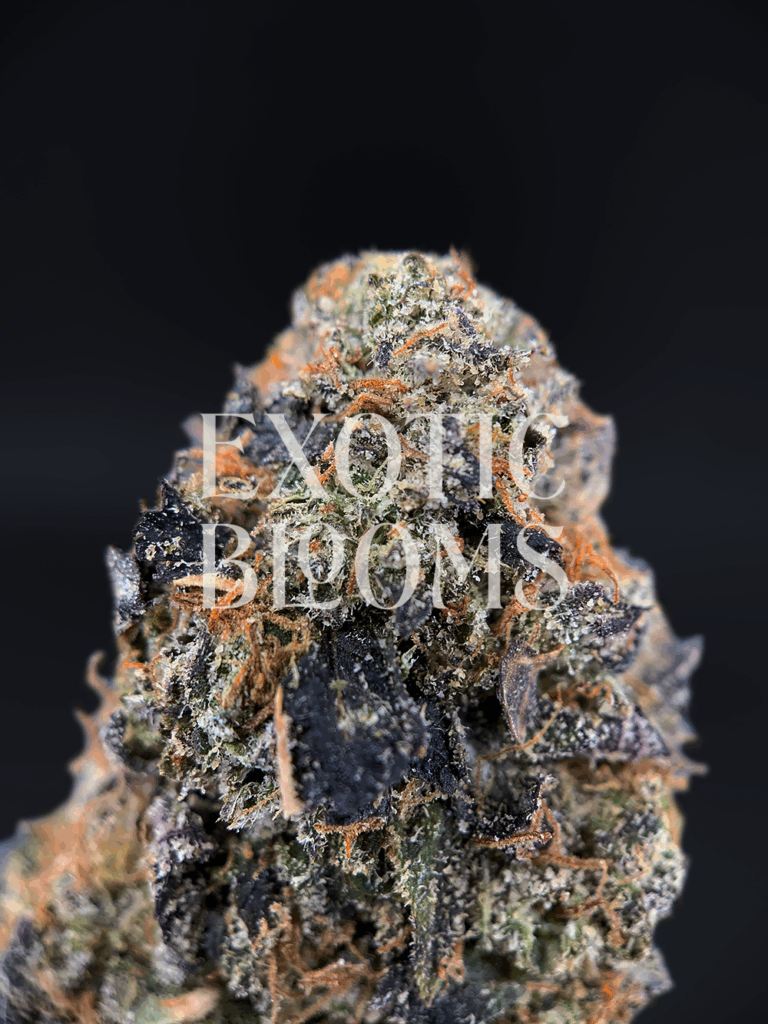 Candy Pop Strain – Balanced Hybrid — DC/VA/MD Weed Delivery