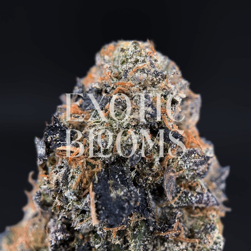 Candy Pop Strain – Balanced Hybrid — DC/VA/MD Weed Delivery