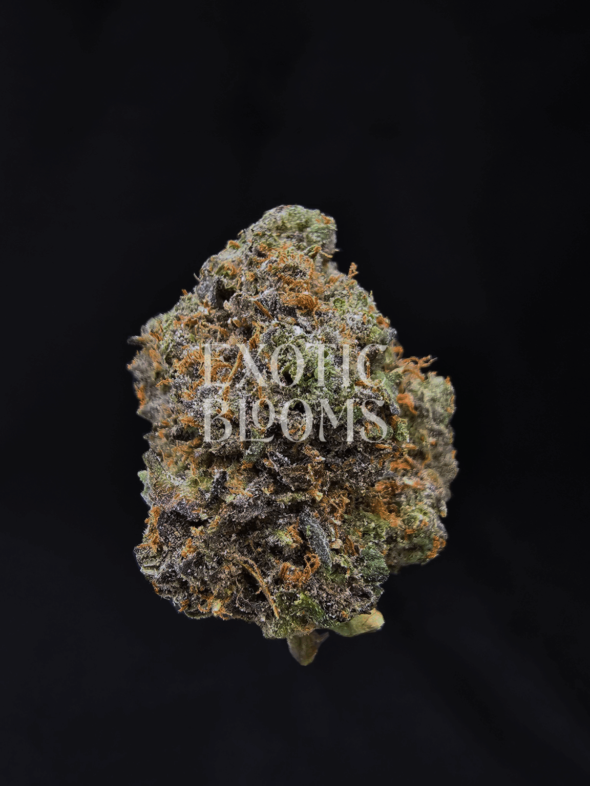 Candy Cloud Strain | 25–28% THC Sativa Hybrid | DC, VA & MD Weed Delivery