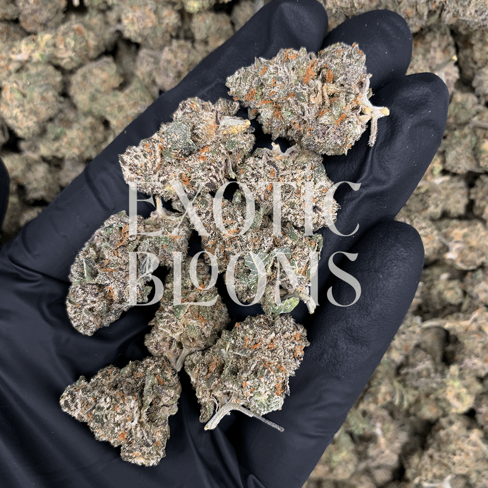 Pure Michigan Smalls - Indica - Oz Deals. **OUT OF STOCK** - Exotic ...