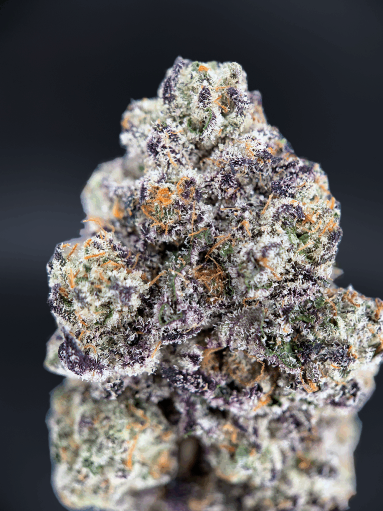 Zoza by Wizard Trees - Indica - Super Rare *OUT OF STOCK* - Exotic ...
