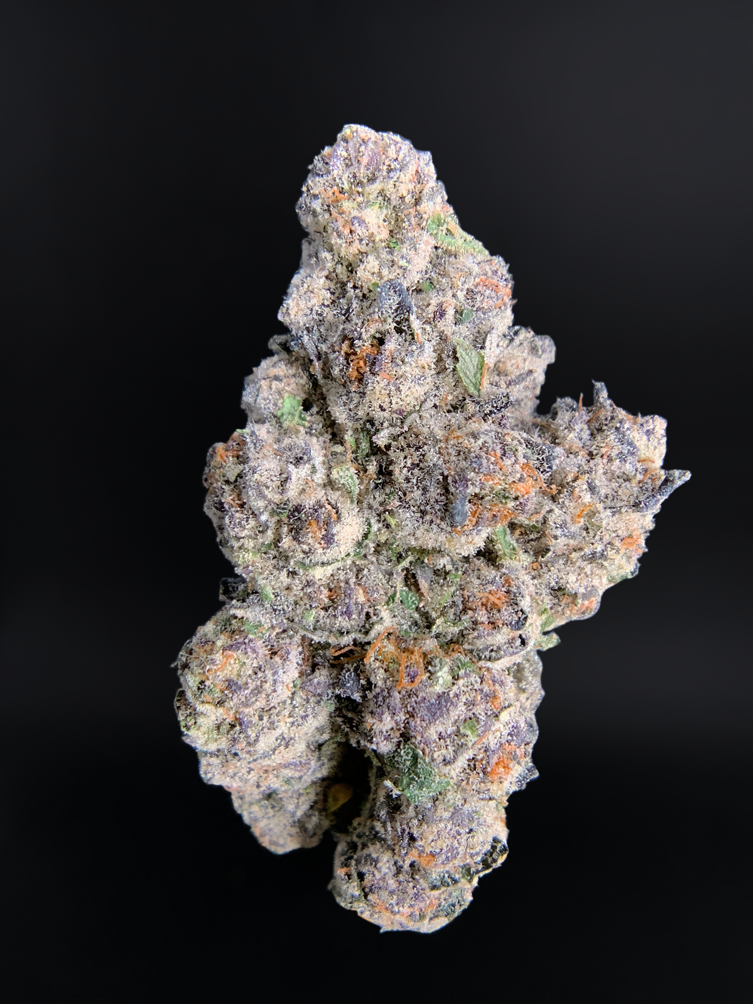 Old Money Strain (30%+ THC) | Top-Shelf Hybrid Flower Delivery DC, VA, MD